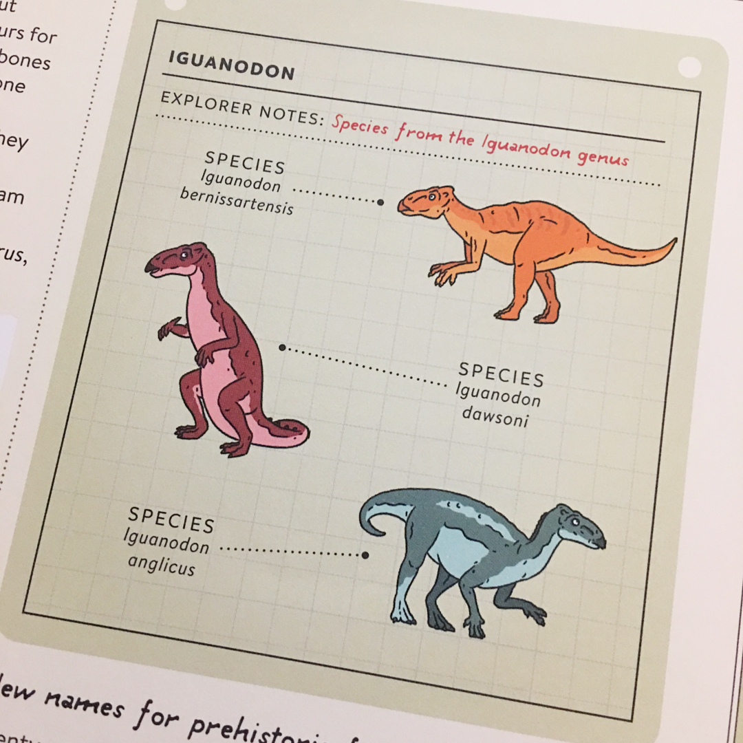 Explorer Dinosaurs! – Alejandra's Life