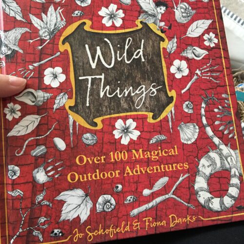 Wild Things Fun Activity Book by Lonely Planet Kids – Alejandra's Life