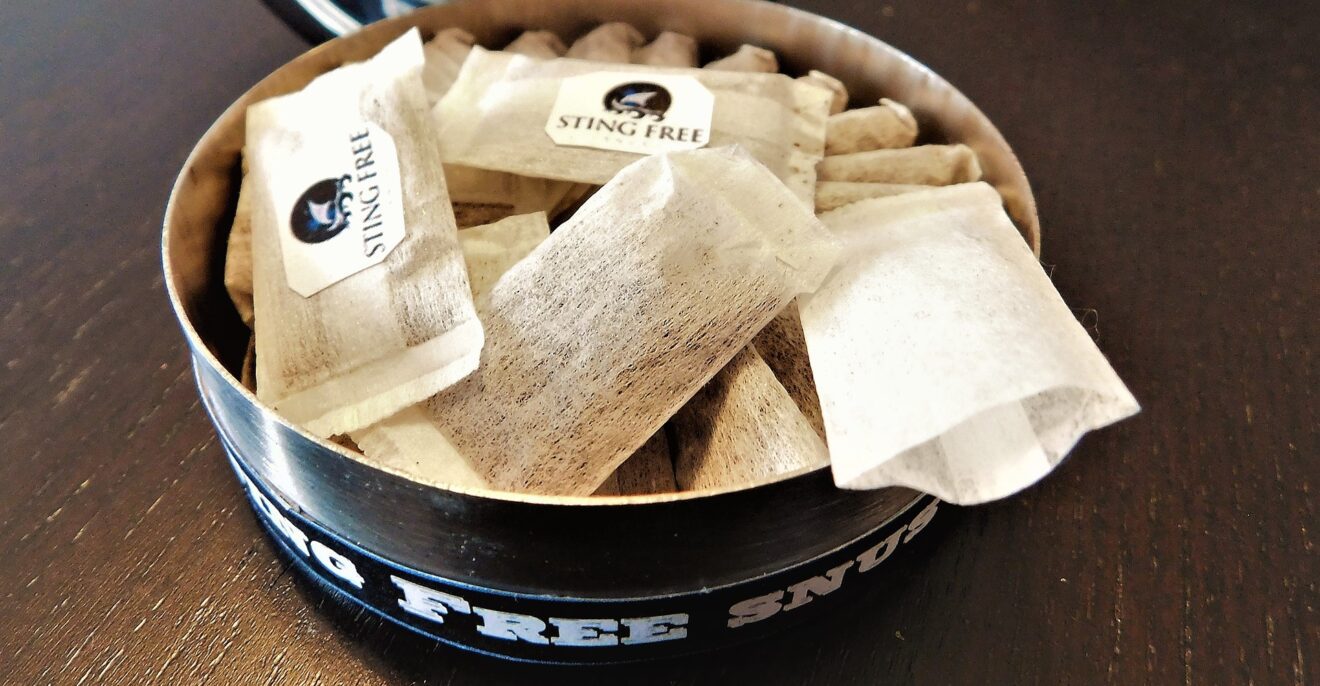 Is SNUS the solution for Smoking? – Alejandra's Life