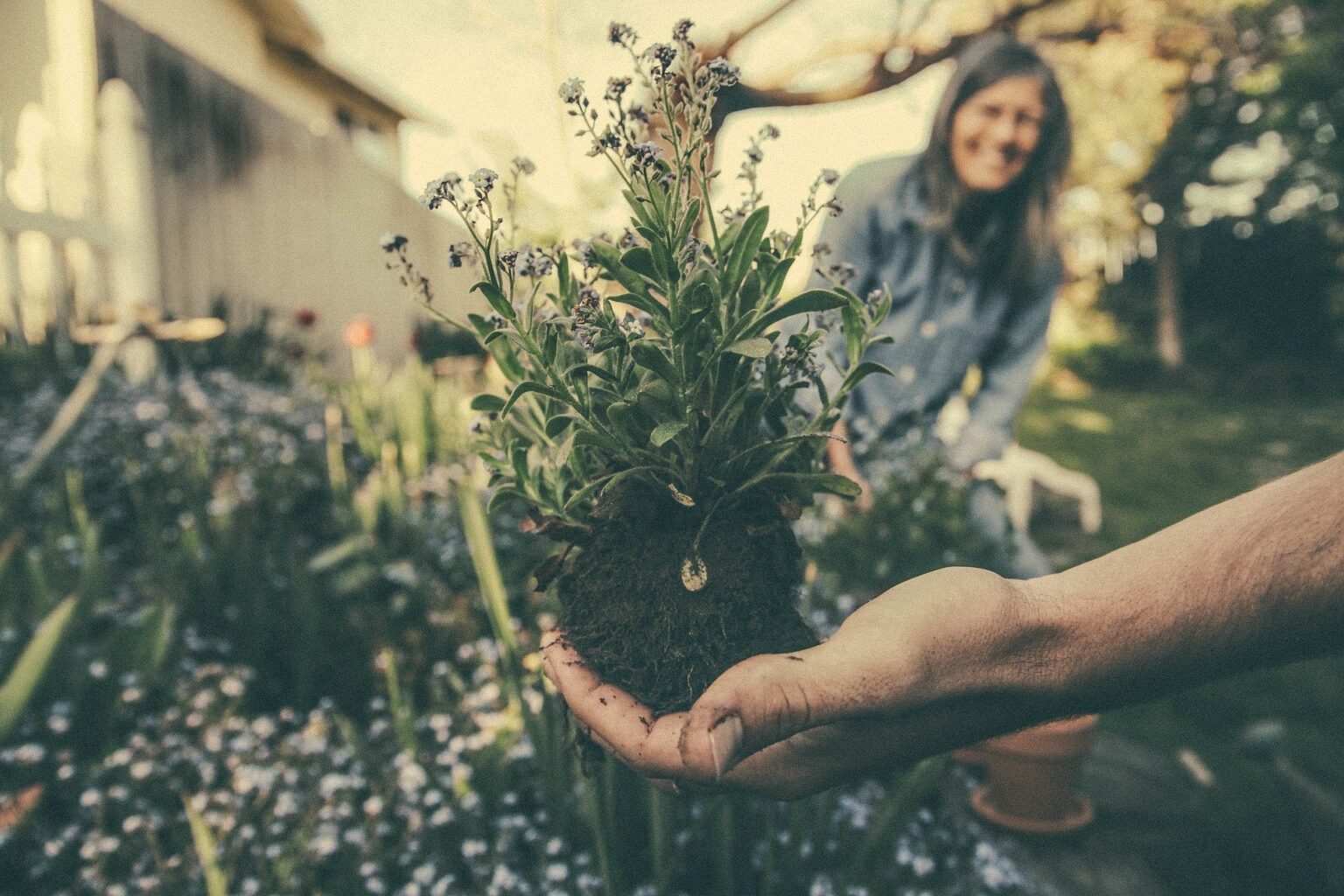 7 Fun Ways to Reconnect With Nature