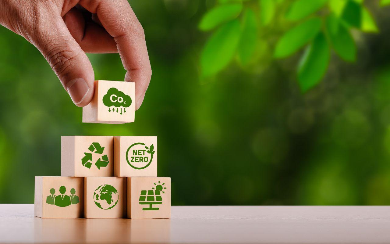 Changes That Will Help Make the World Greener – Alejandra's Life